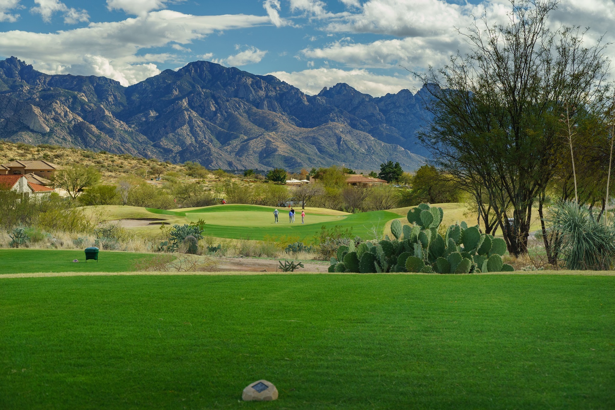 Home - Golf Saddlebrooke