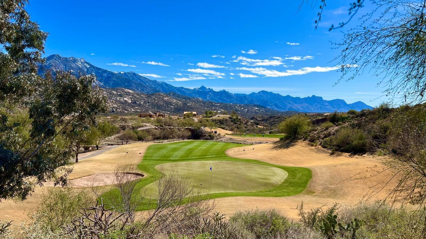 Gallery - Golf Saddlebrooke