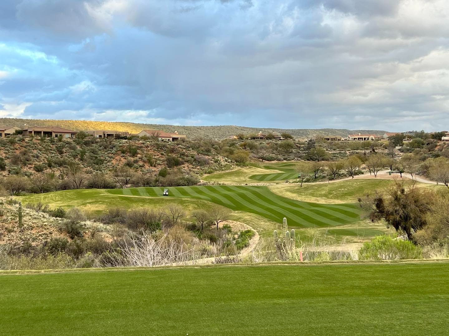 Gallery - Golf Saddlebrooke