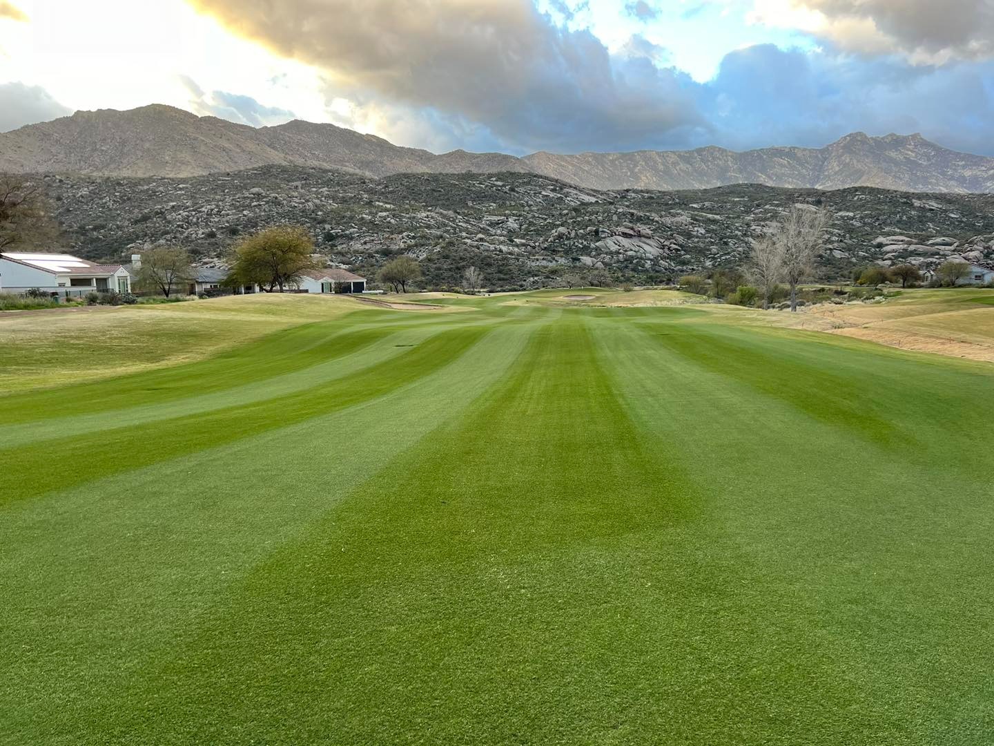 Home - Golf Saddlebrooke