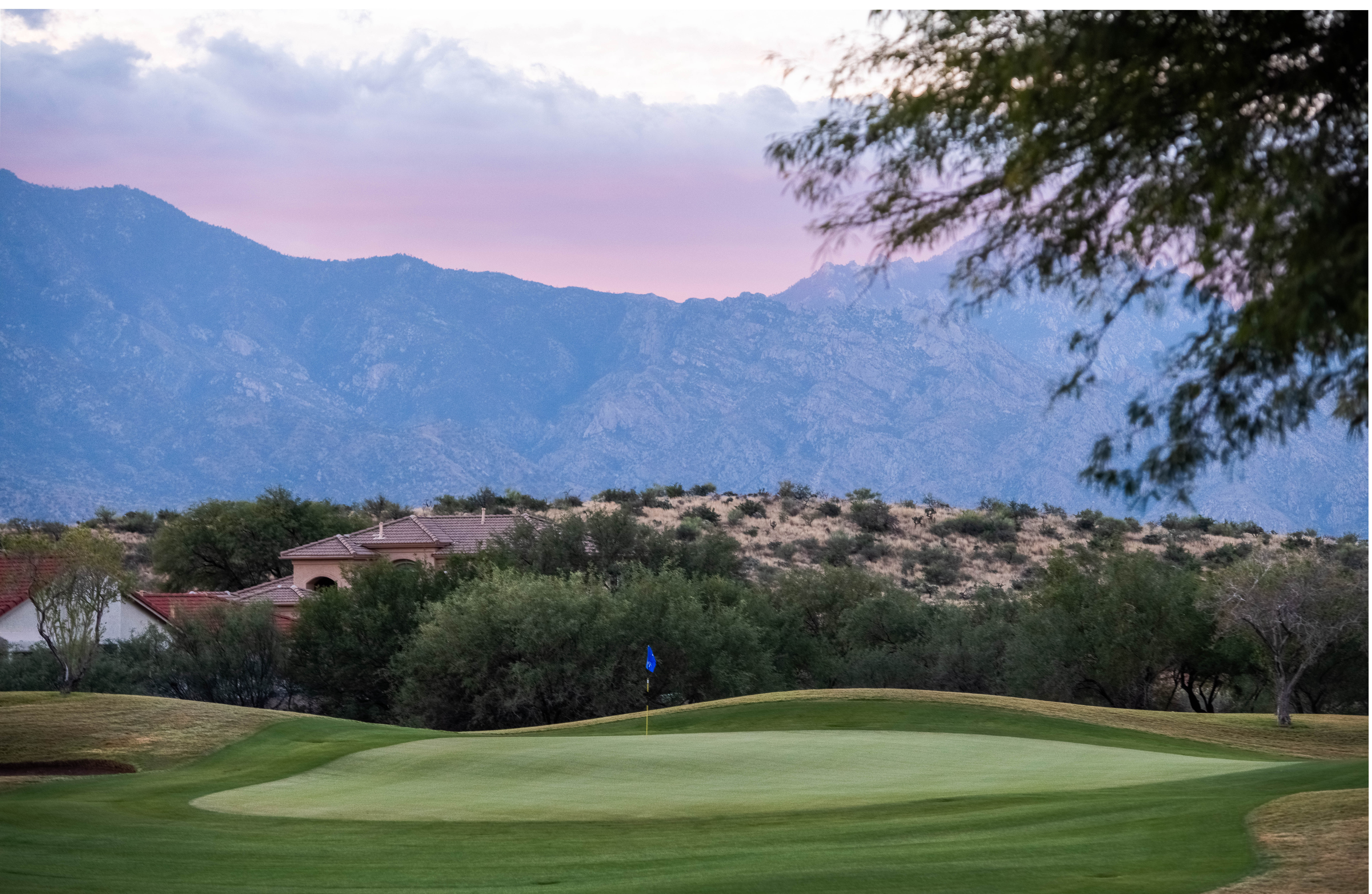 Home - Golf Saddlebrooke