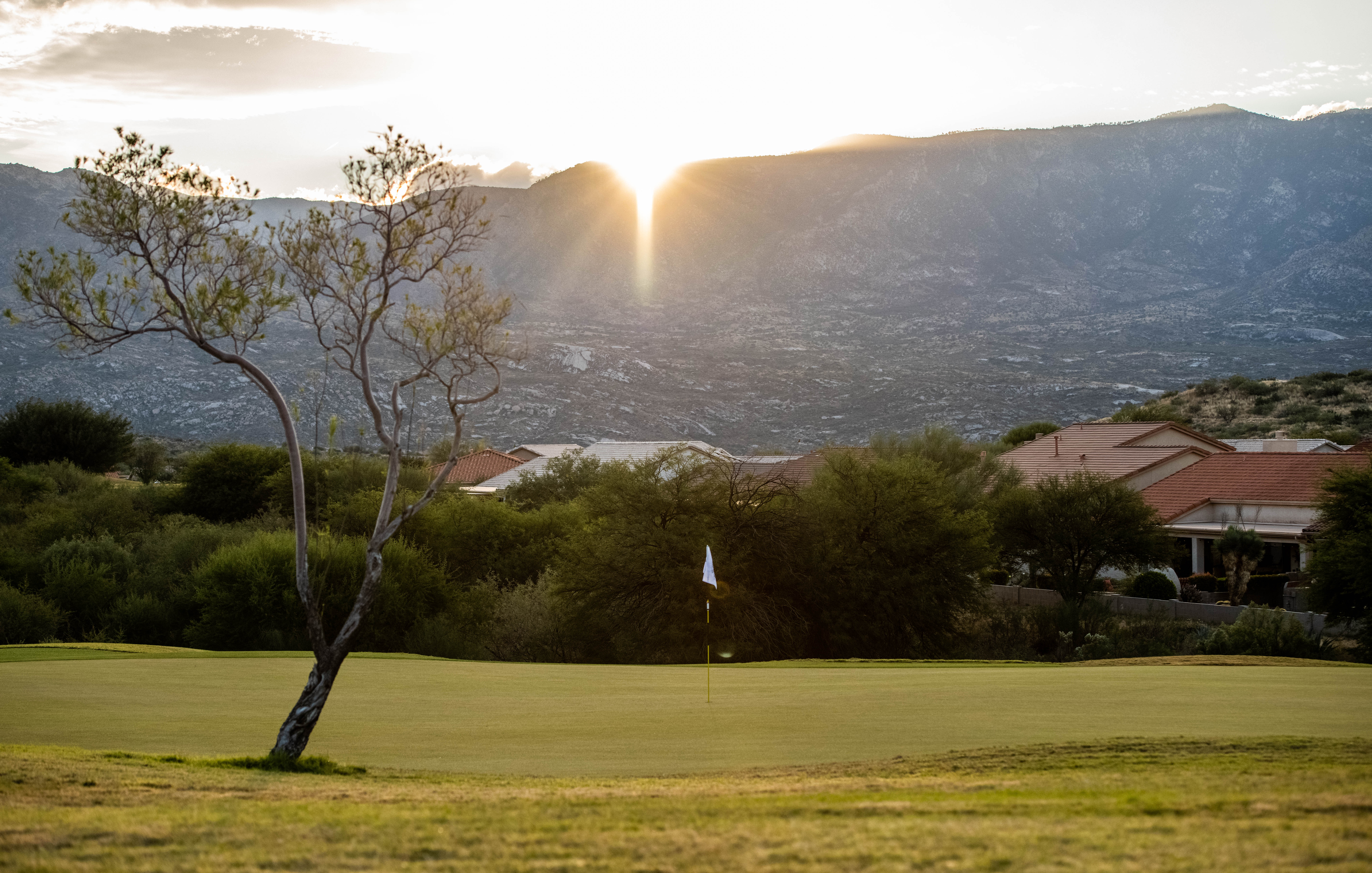 Home - Golf Saddlebrooke