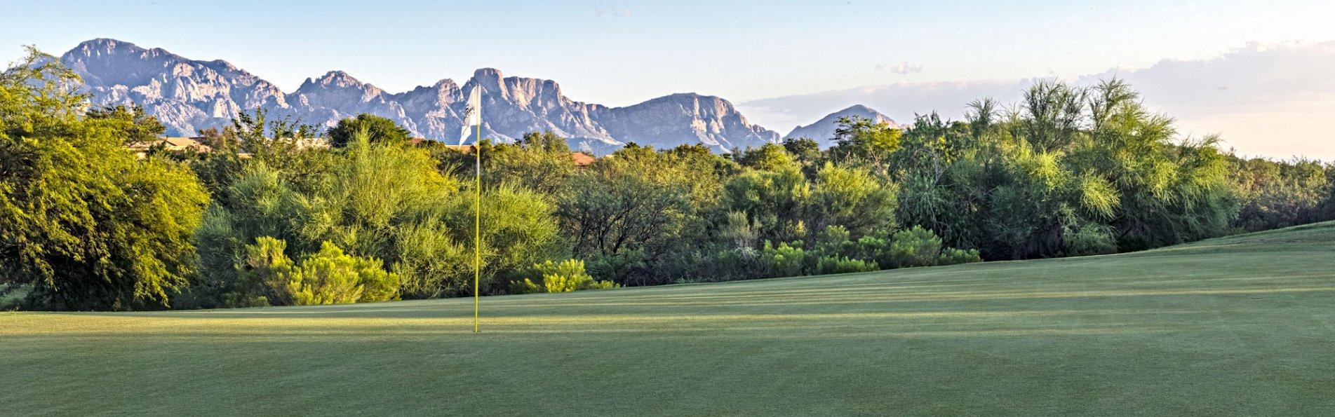 MountainView Golf Club - Golf Saddlebrooke